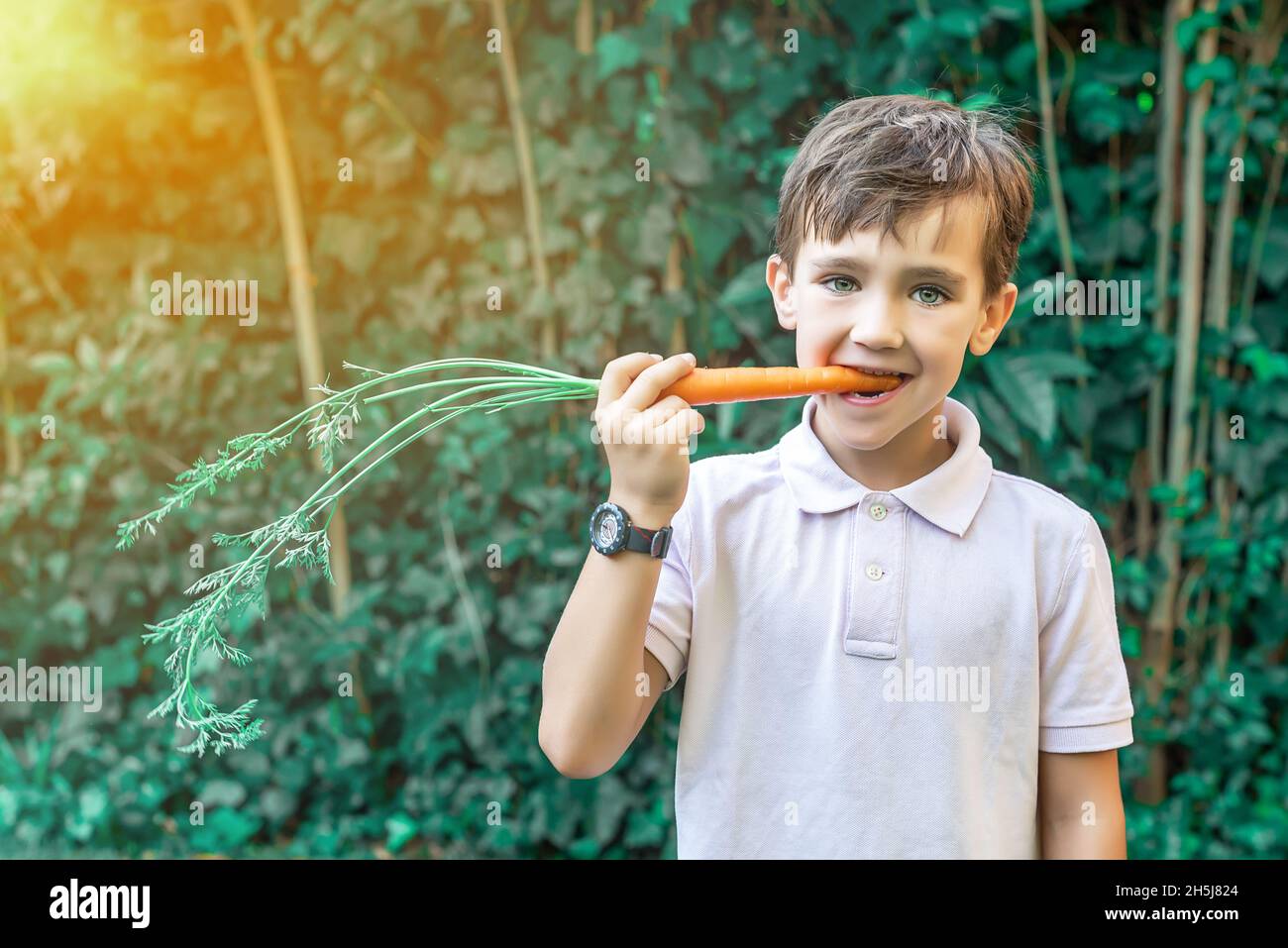 Happy green-eyed boy biting a carrot. Healthy eating concept for ...