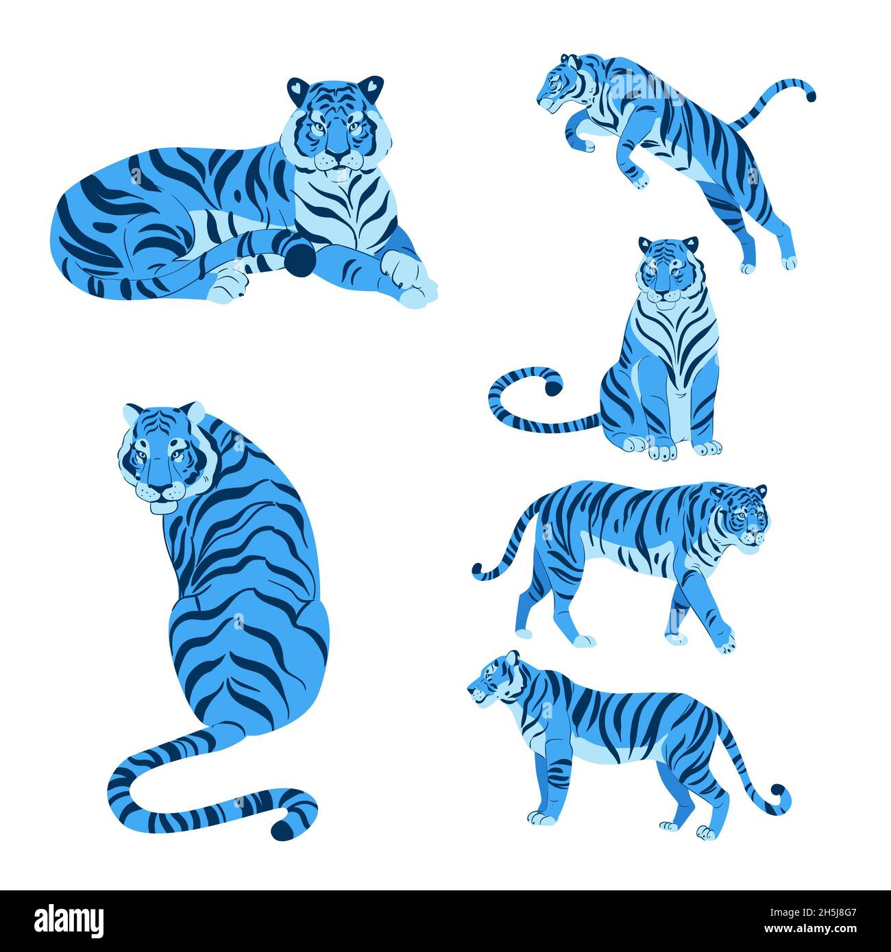 Flat set of cute tigers in various poses isolated on white background ...