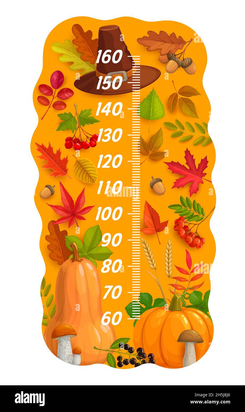 Thanksgiving kids height chart with autumn pumpkin and berry harvest ...