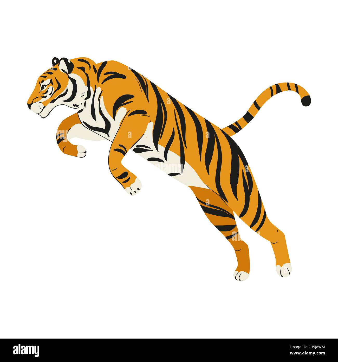 Jumping Tiger Vector Image