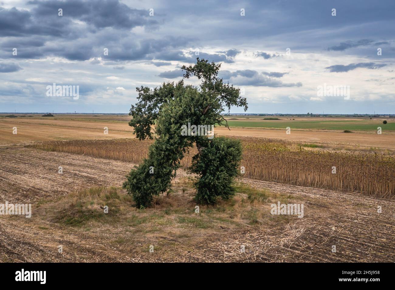 Funny drone hi-res stock photography and images - Alamy