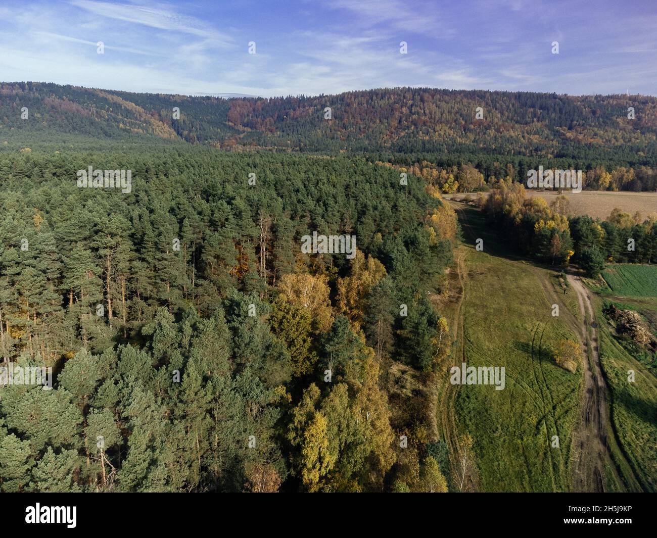 Aerial view of think forest landscape in Coburg Bavaria, Germany Stock ...