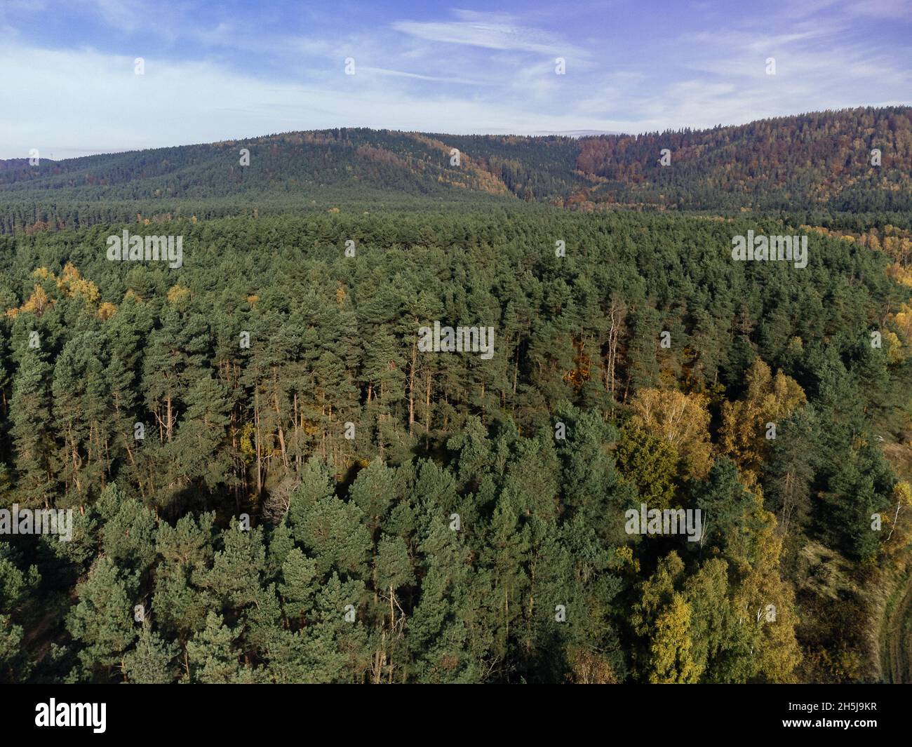 Aerial view of think forest landscape in Coburg Bavaria, Germany Stock ...