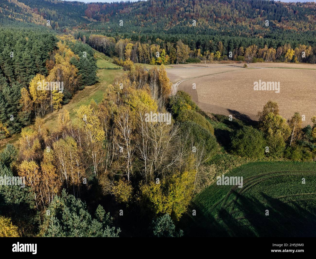 Aerial view of think forest landscape in Coburg Bavaria, Germany Stock ...
