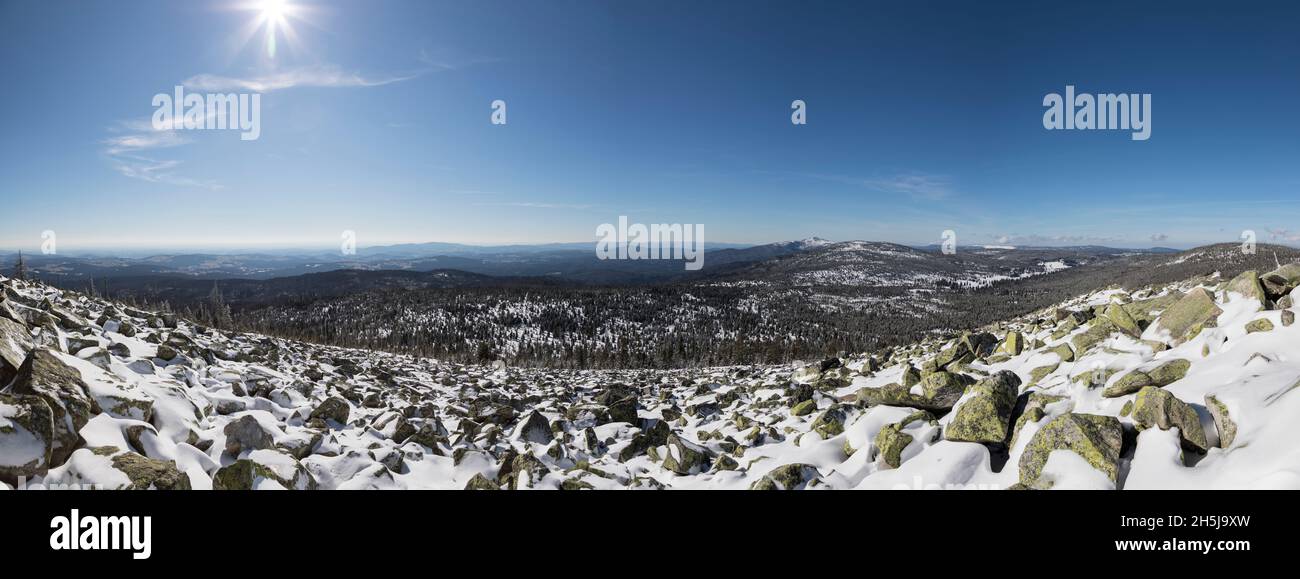 View from the lusen hi-res stock photography and images - Alamy