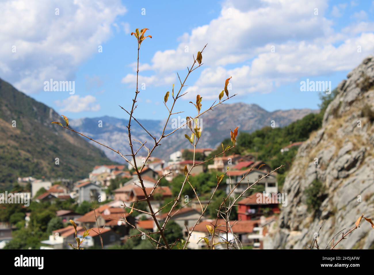City of kotor hi-res stock photography and images - Alamy