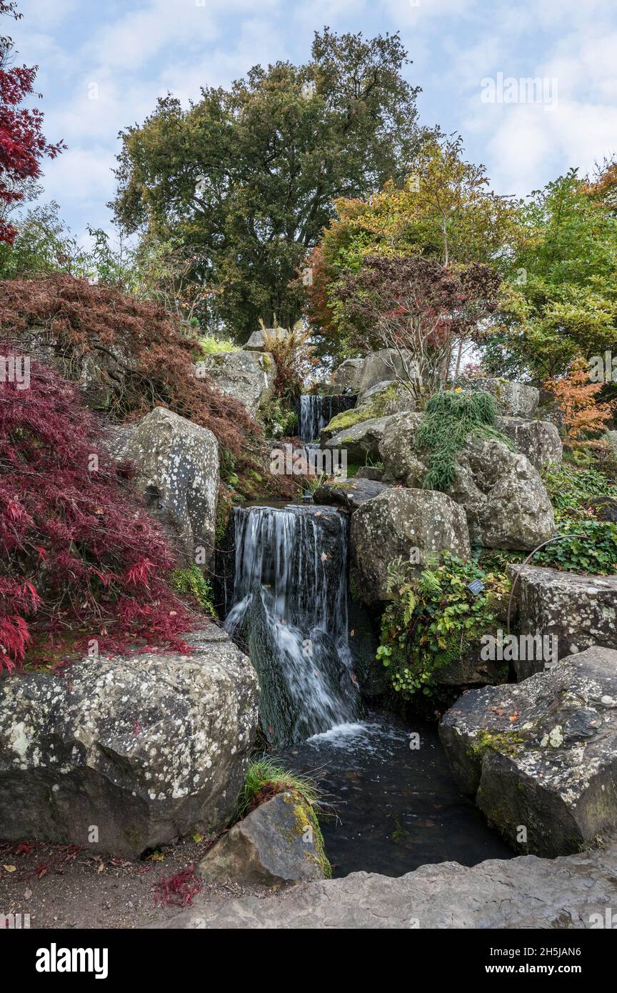 Rockery with waterfall running through Stock Photo - Alamy