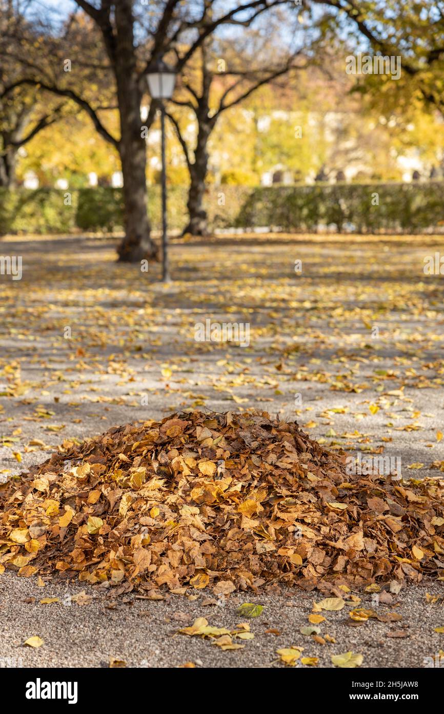 Heaps of leaves hi-res stock photography and images - Alamy