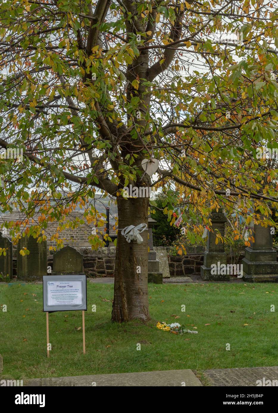A prayer tree in the grounds of St John's church, Baildon, Yorks ...