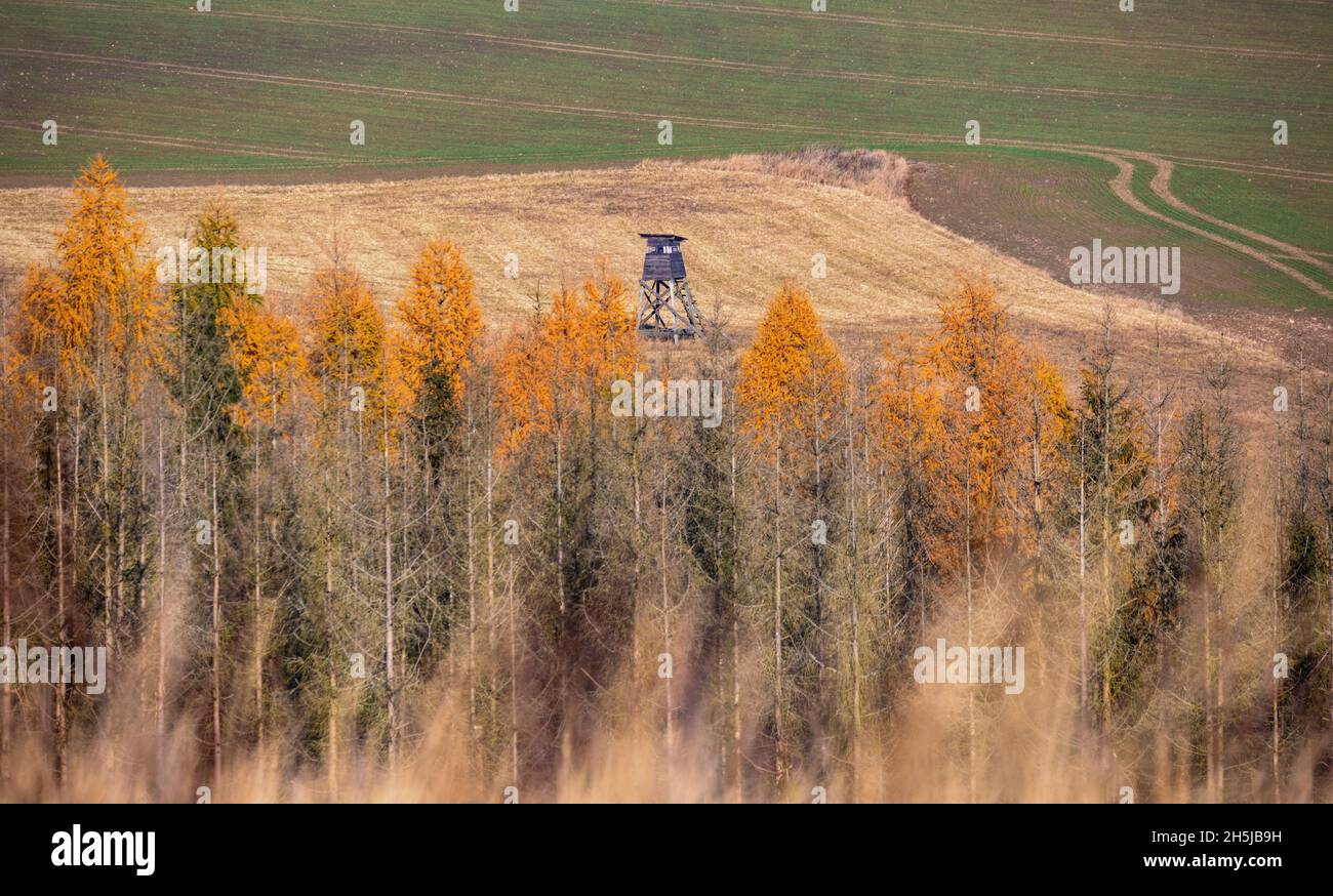 Wooden Hunters hunting tower in countryside landscape, Fall autumn ...