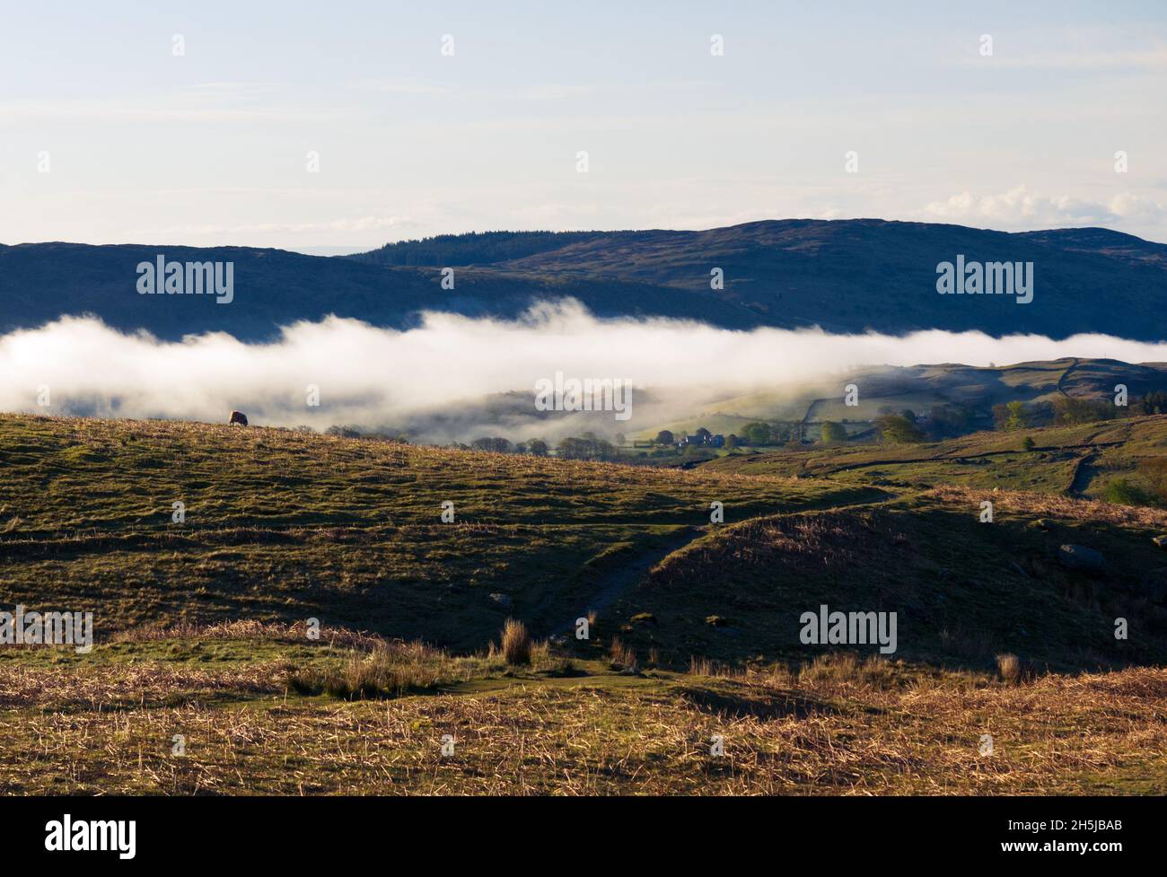 Mist over the water hi-res stock photography and images - Alamy