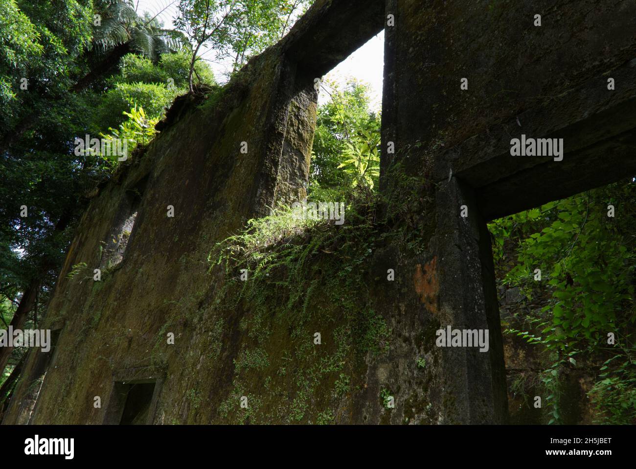 Ruins of ancient villa in the Grena park, Sao Miguel island, Azores ...