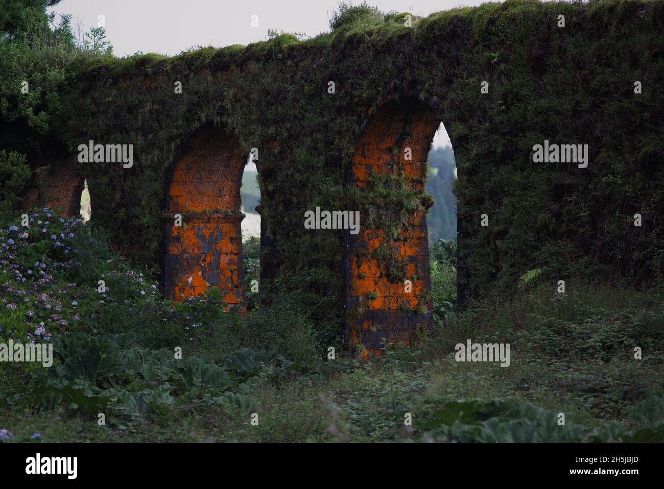 Ancient aqueduct, Sao Miguel island, Azores Stock Photo - Alamy
