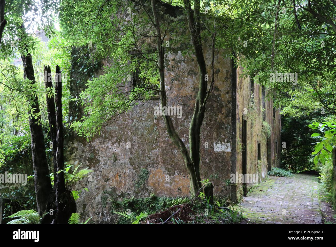 Ruins of ancient villa in the Grena park, Sao Miguel island, Azores ...