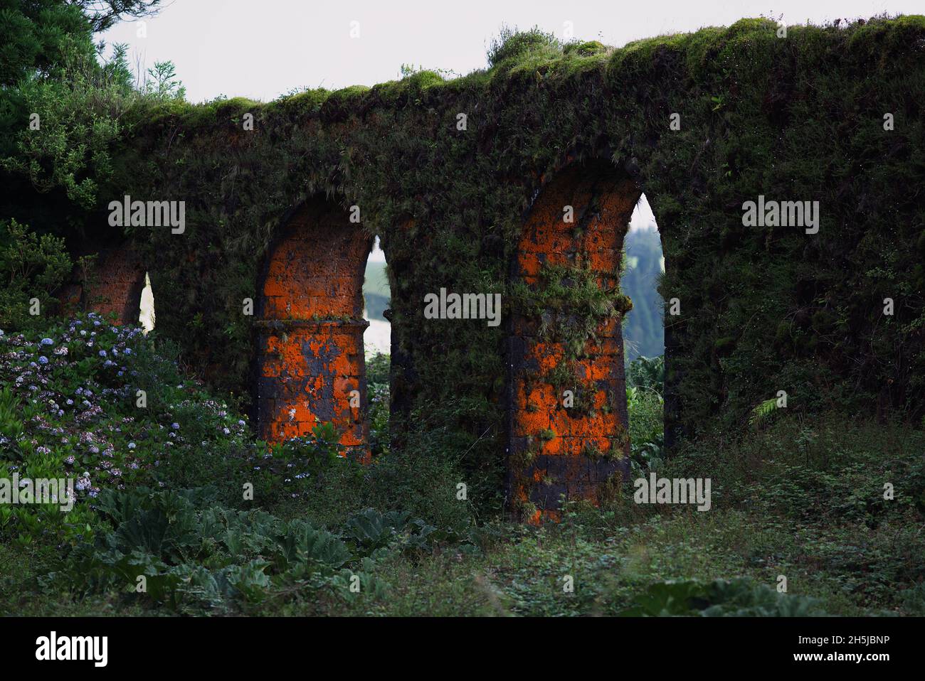 Ancient aqueduct, Sao Miguel island, Azores Stock Photo - Alamy