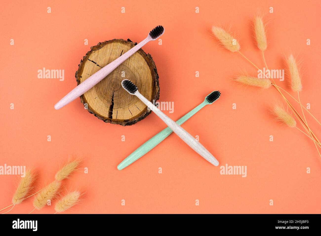 Toothbrushes made of recycled plastic in pastel colors on a cut of ...