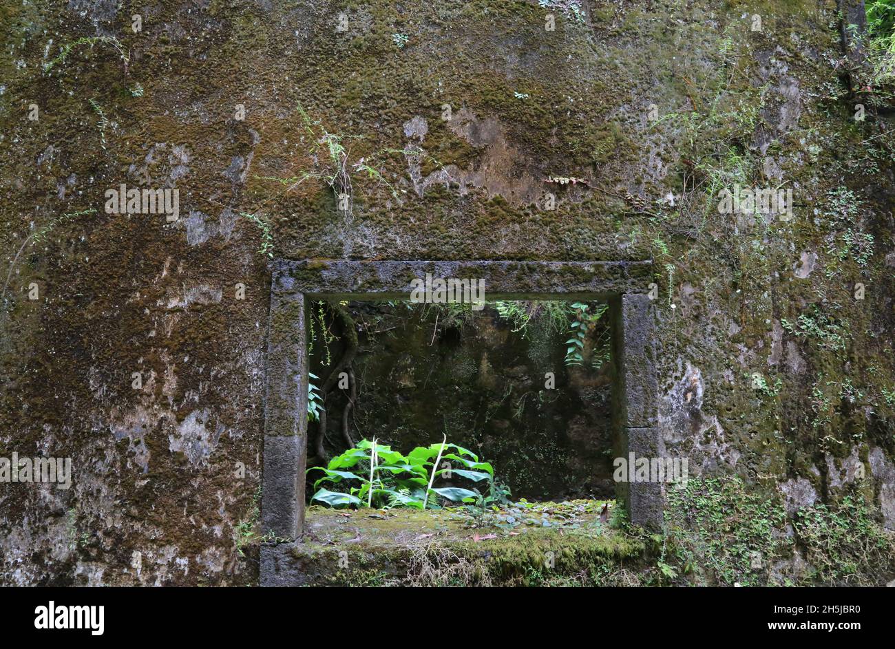 Ruins of ancient villa in the Grena park, Sao Miguel island, Azores ...