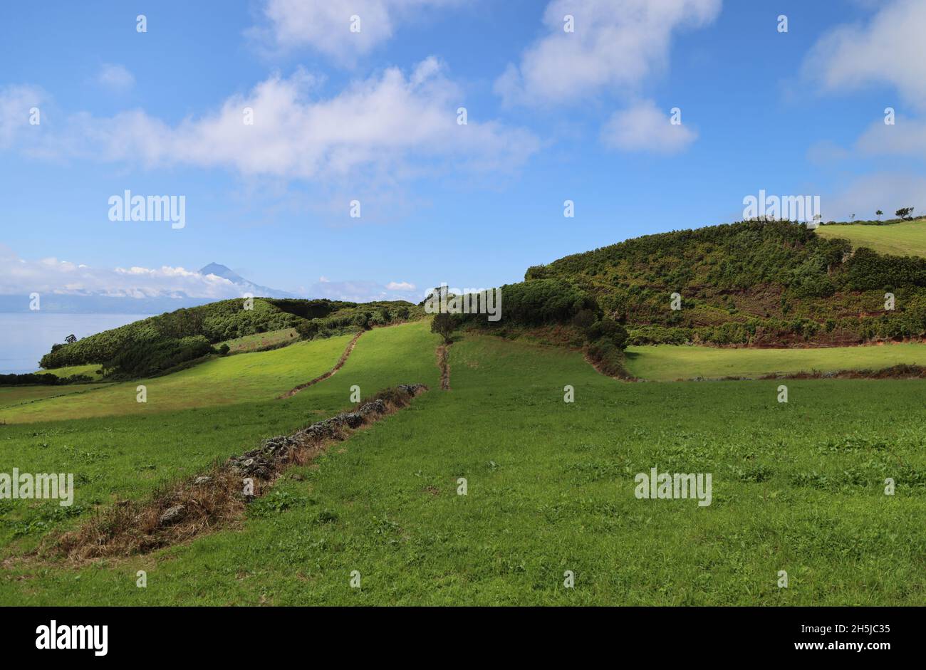 The green landscape of the island of Sao Jorge, Azores Stock Photo - Alamy