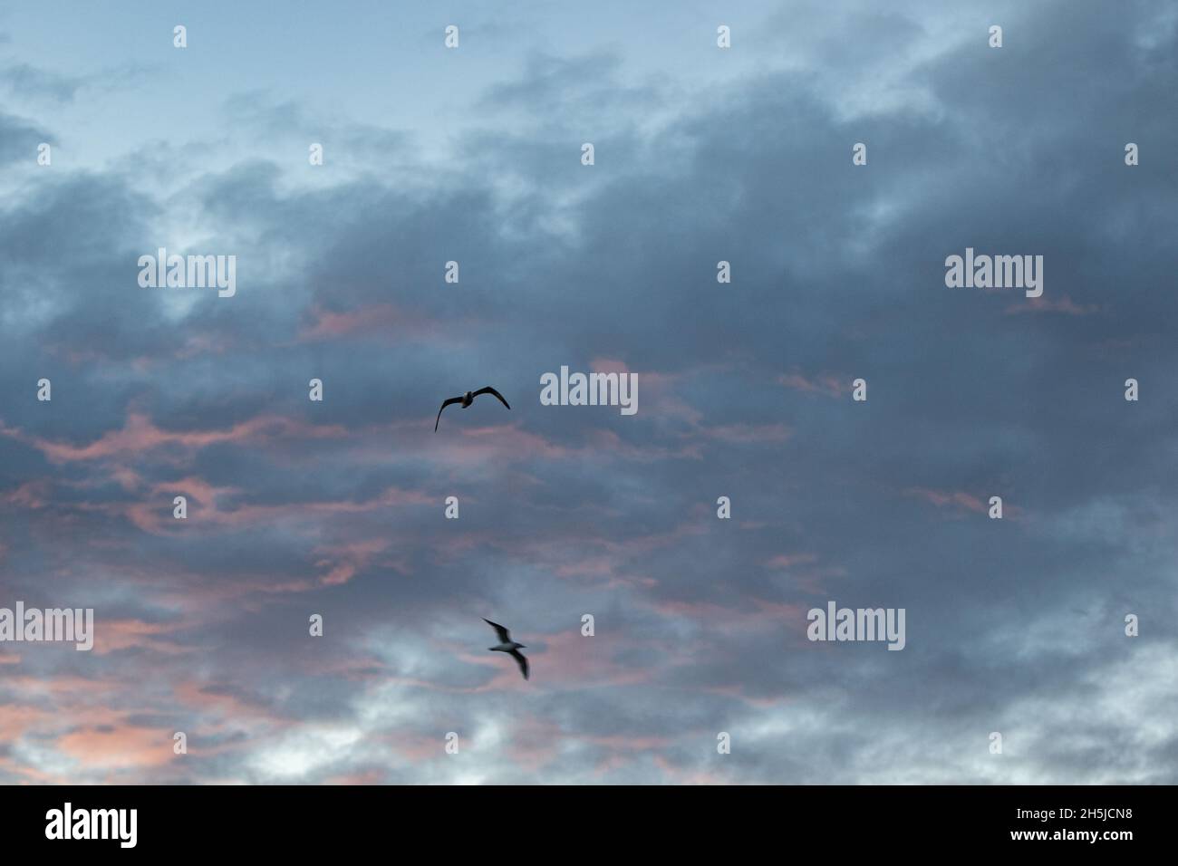 Icelandphotography hi-res stock photography and images - Alamy