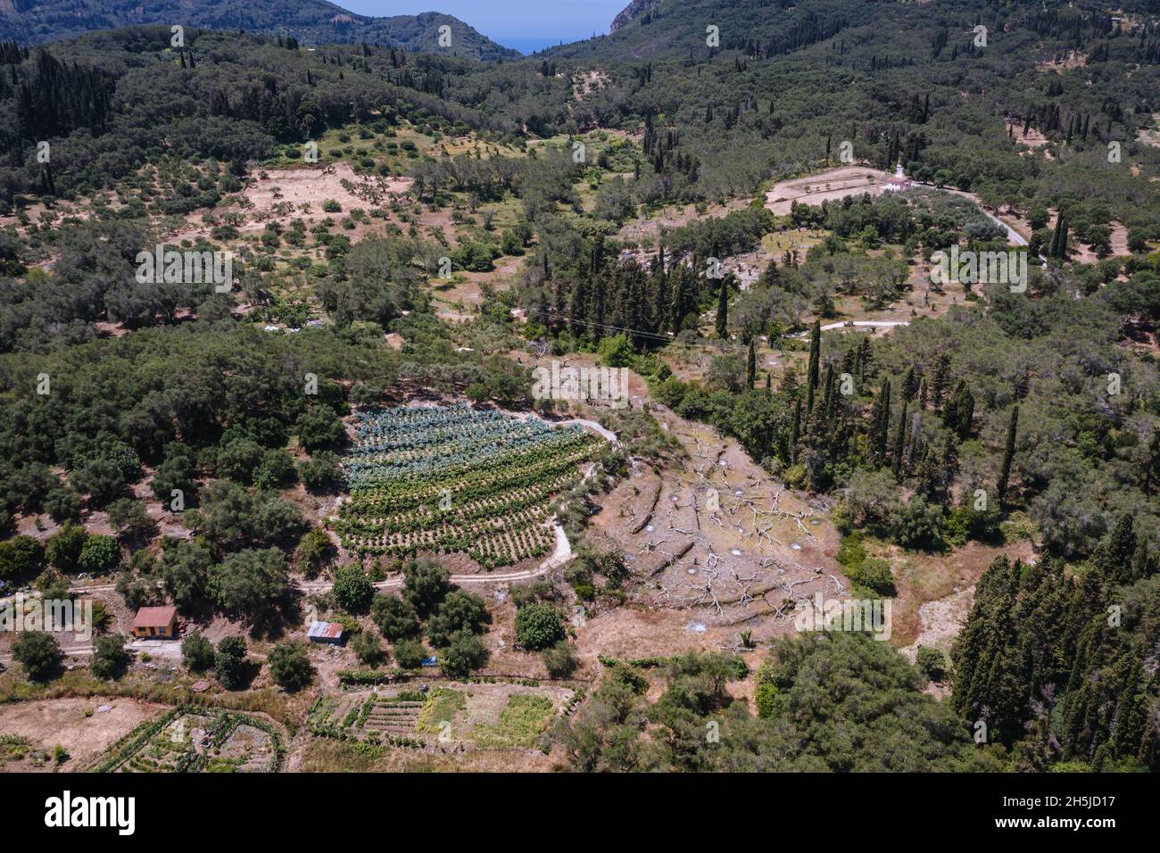 Rural corfu hi-res stock photography and images - Alamy