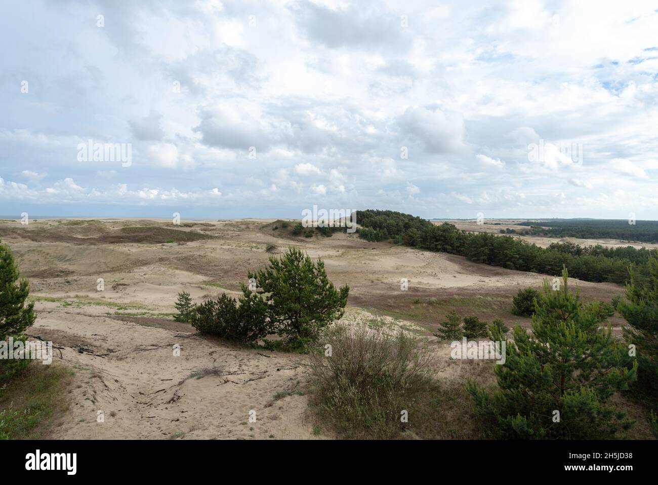 amazing view of sandy Grey Dunes at the Curonian Spit. The concept of ...