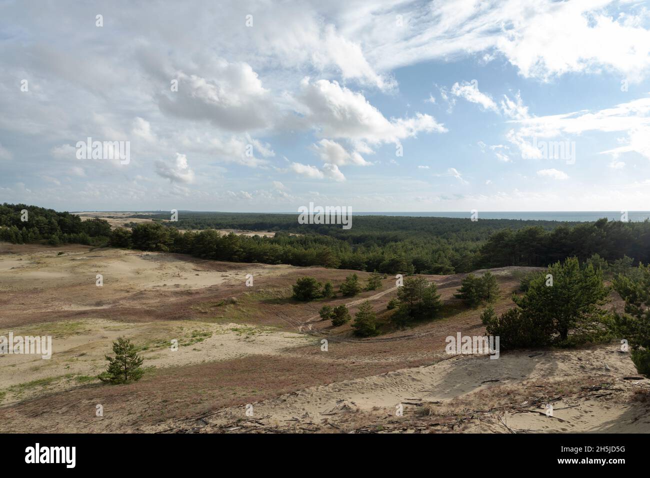 Grey dunes hi-res stock photography and images - Alamy
