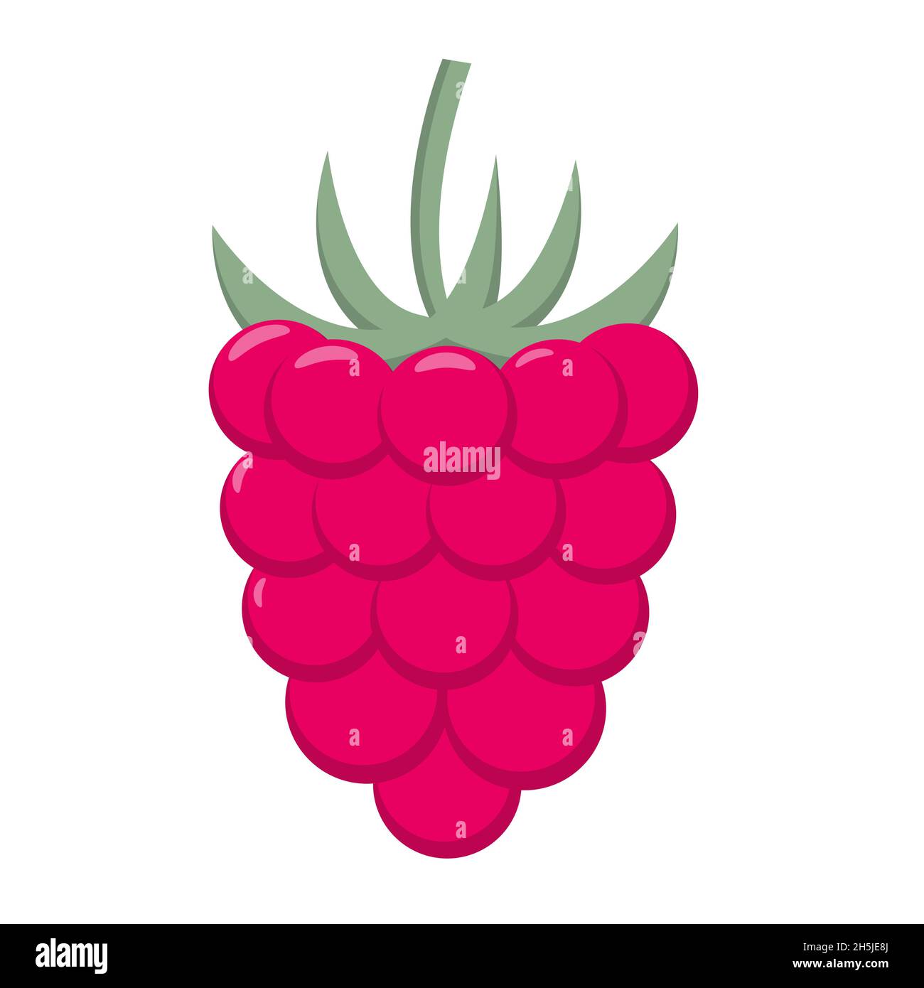 Raspberry close up isolated object. Clipart Berry with leaf tail ...