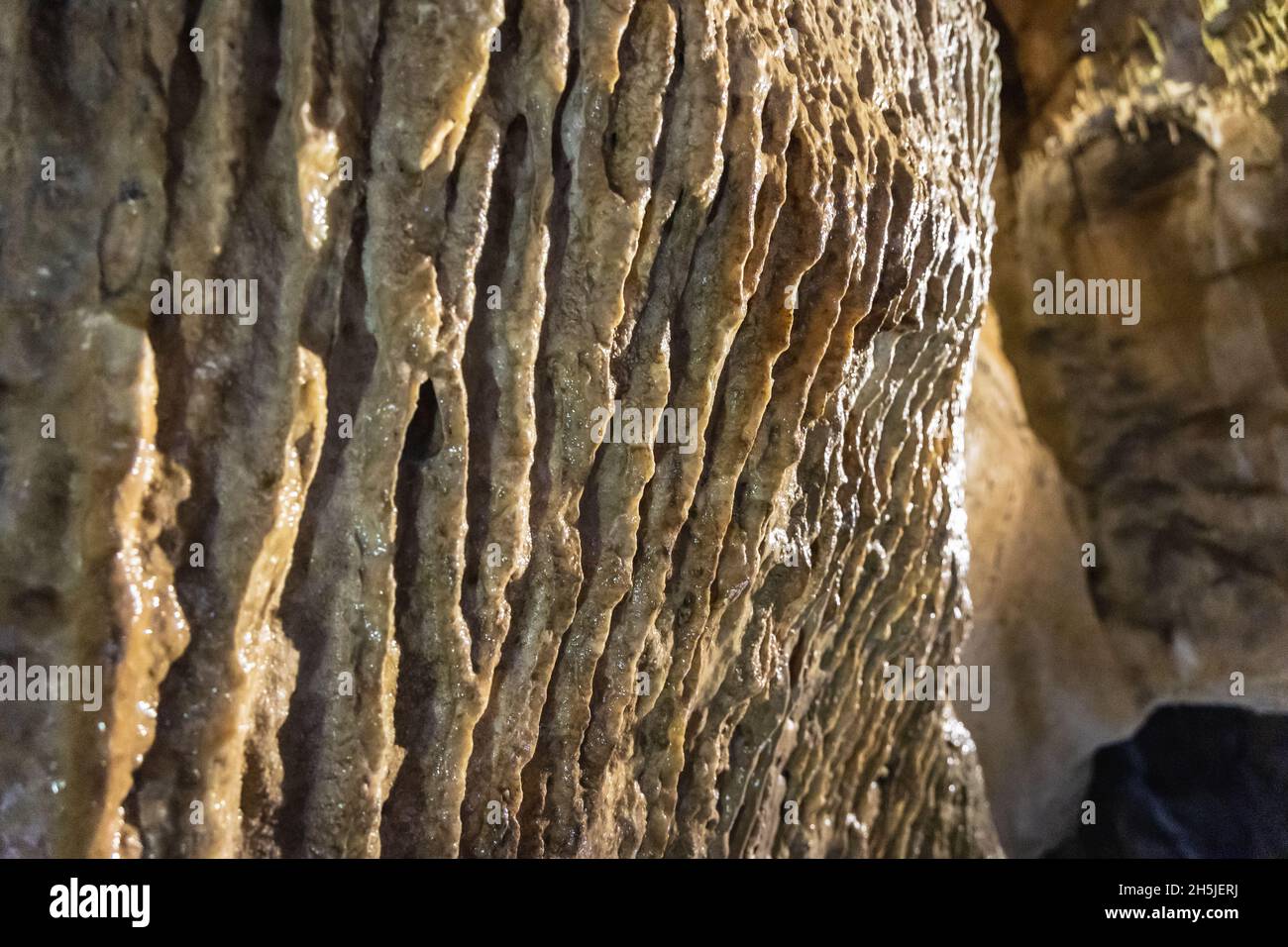 Details of wall in Bacho Kiro cave, embedded in the canyons of the ...