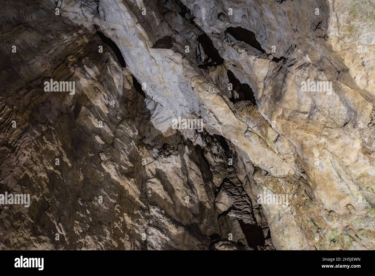 Interior of Bacho Kiro cave, embedded in the canyons of the Andaka and ...