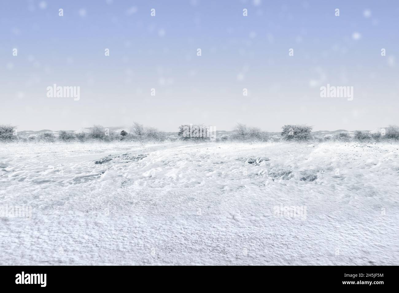 Snowfield detail hi-res stock photography and images - Alamy