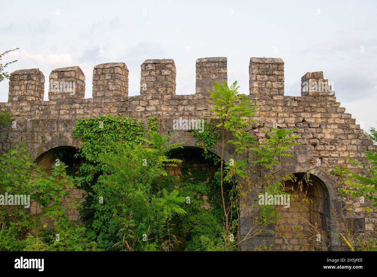 church stone wall overgrown with various grass Stock Photo - Alamy