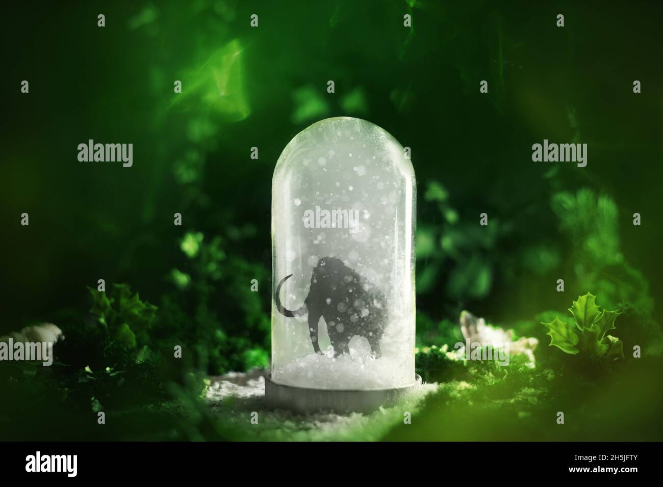 creative photography. silhouette mammoth in the snow in a cloche ...