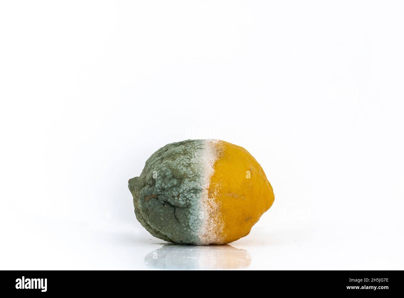 Half rotten and half healthy lemon represents concept of bipolarity or ...