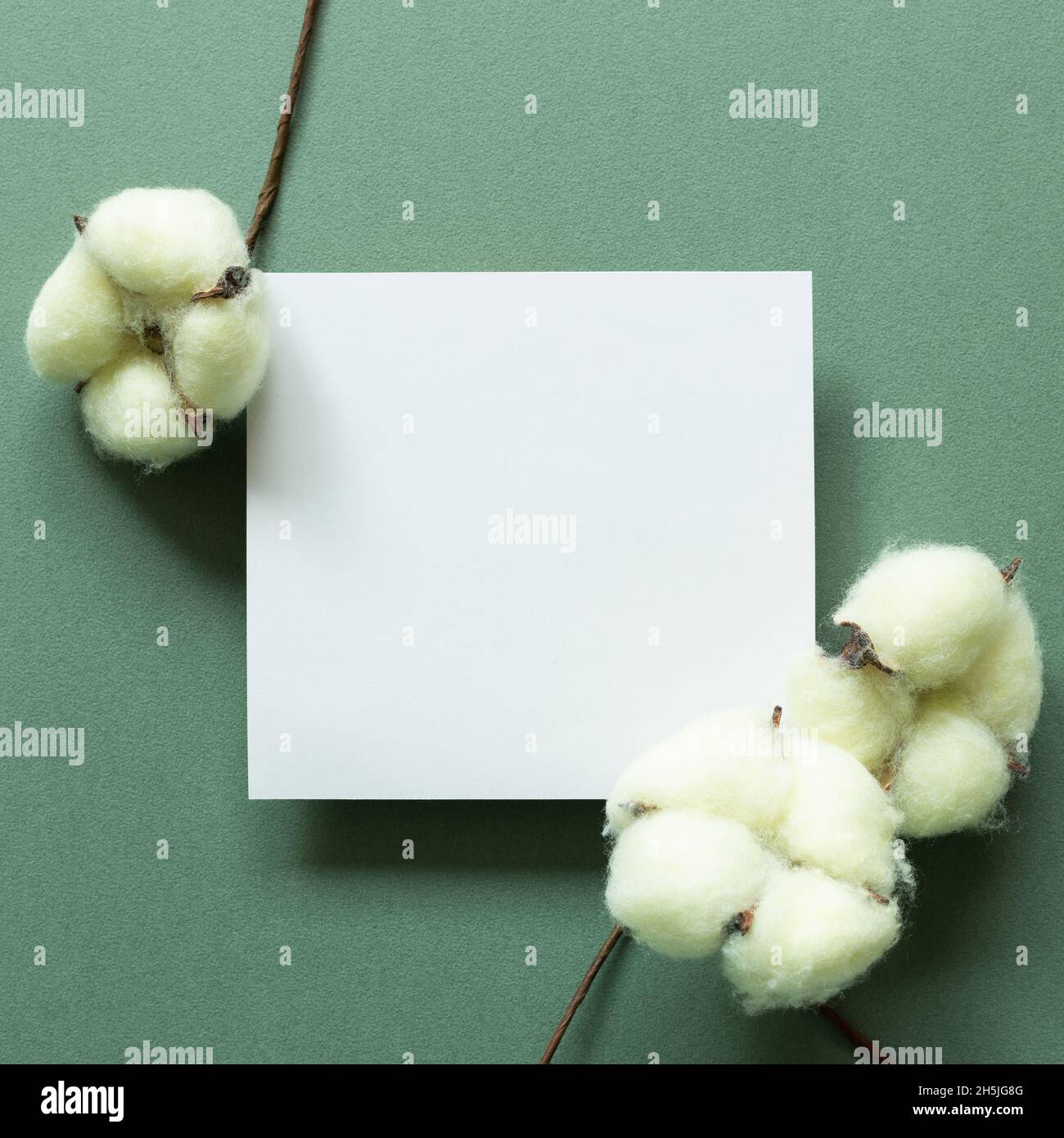Blank white memo paper hi-res stock photography and images - Alamy