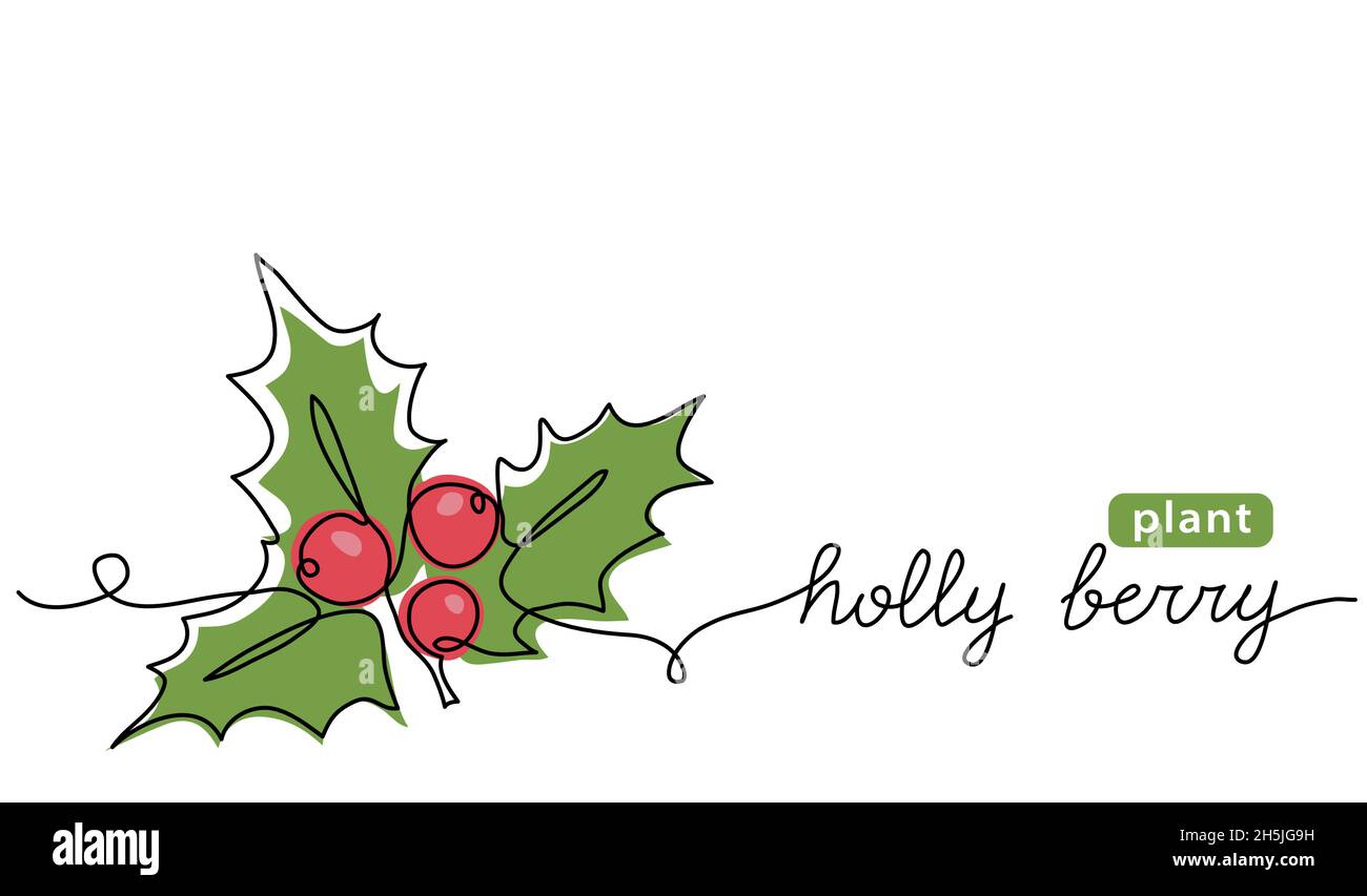 Holly berry vector hand drawn sketch, color illustration for Christmas ...