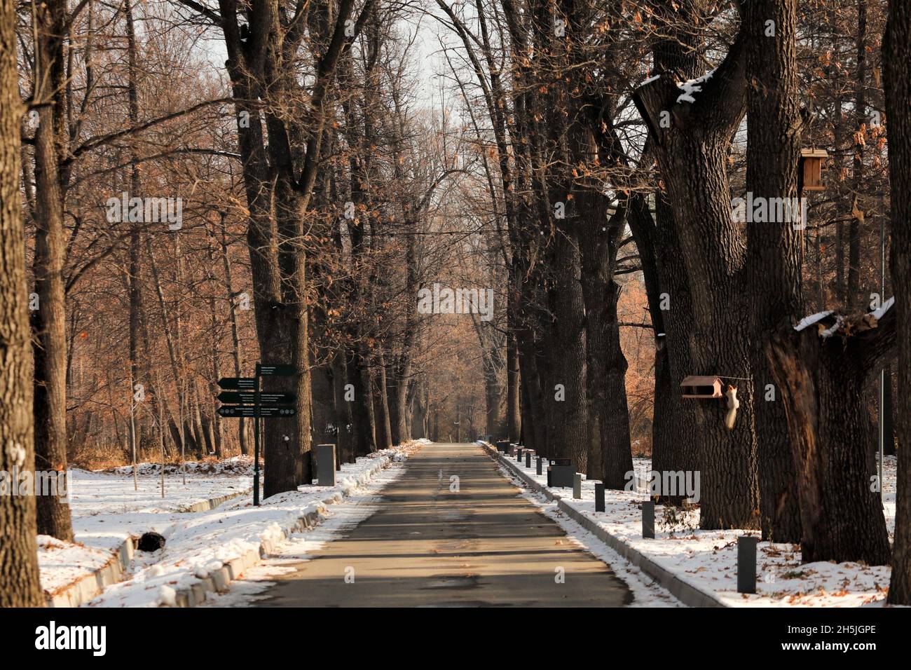 (211110) -- ALMATY, Nov. 10, 2021 (Xinhua) -- Photo taken on Nov. 9 ...