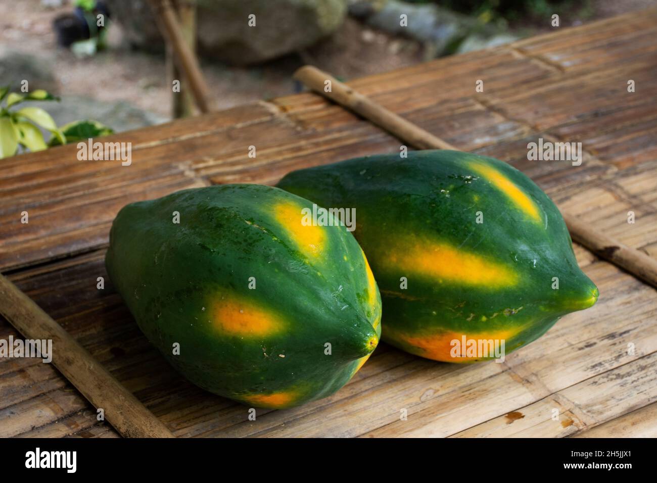 Large papaya fruits native species or local landrace on stall hawker ...