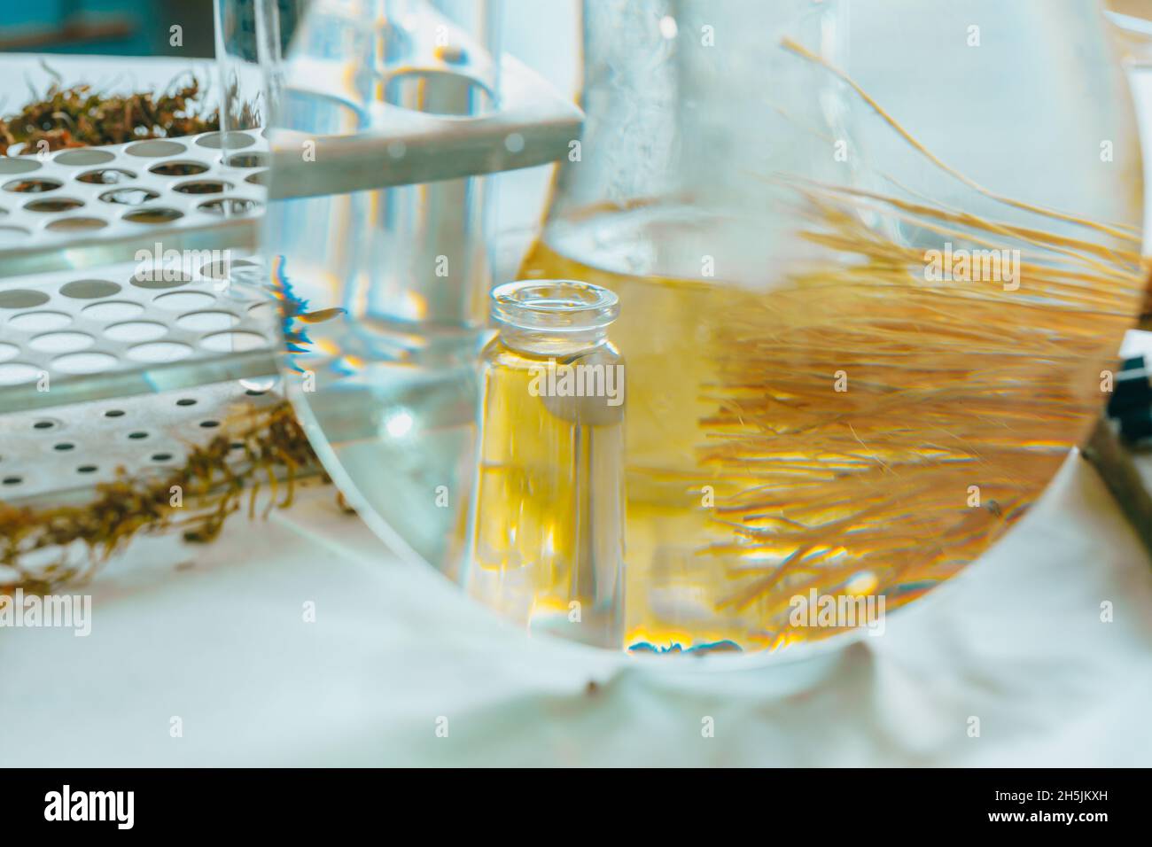 Hemp sativa oil in science laboratory Stock Photo - Alamy