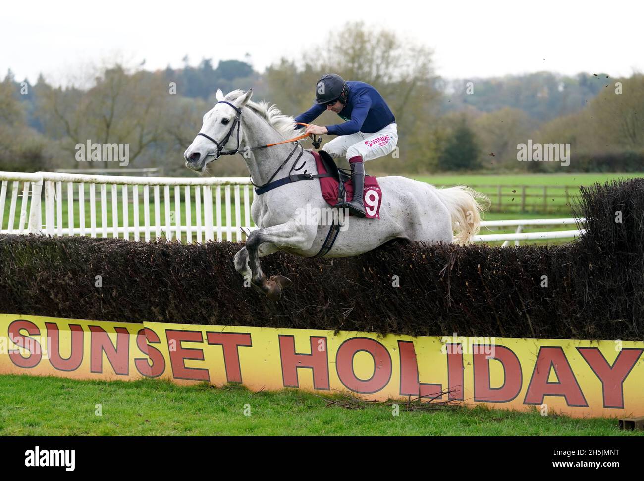 Snow leopardess racecourse hi-res stock photography and images - Alamy
