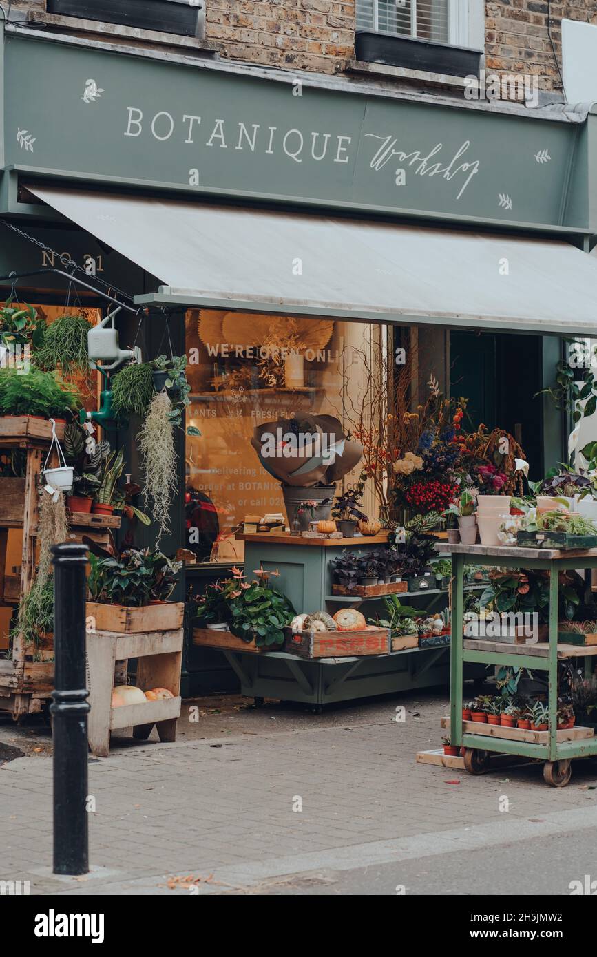 Botanique workshop hi-res stock photography and images - Alamy