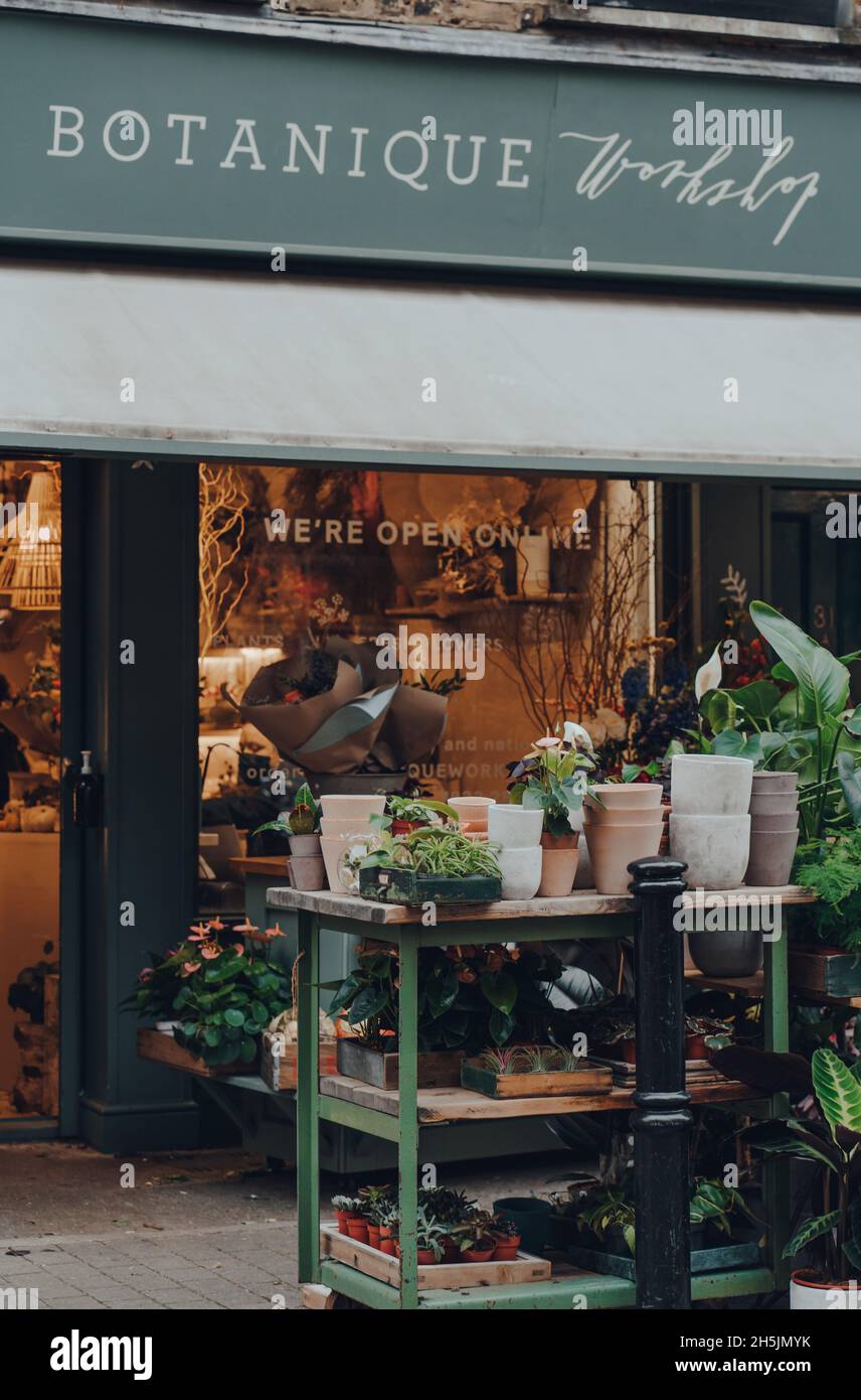 Botanique workshop hi-res stock photography and images - Alamy