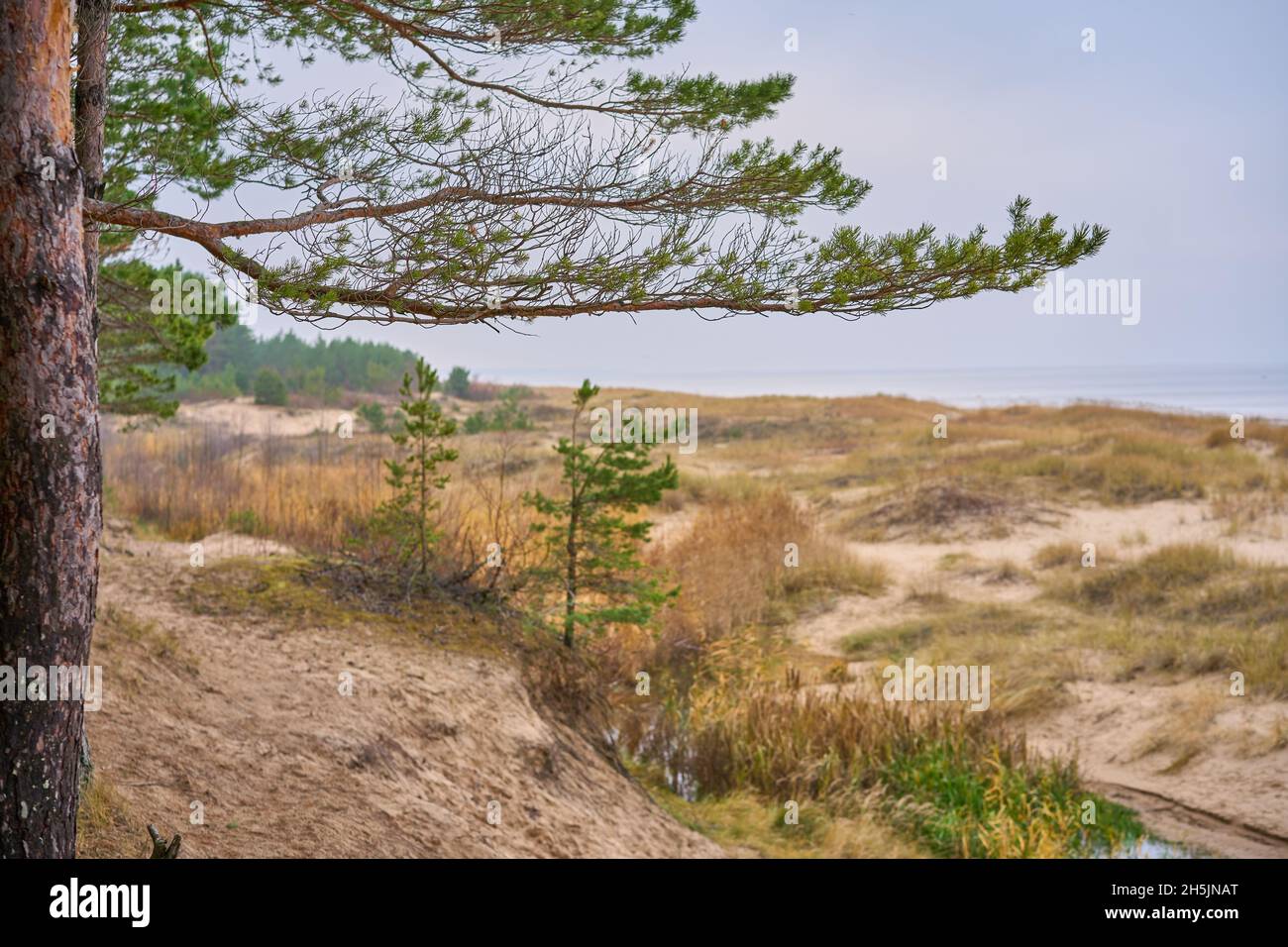 Seashore landscape hi-res stock photography and images - Alamy
