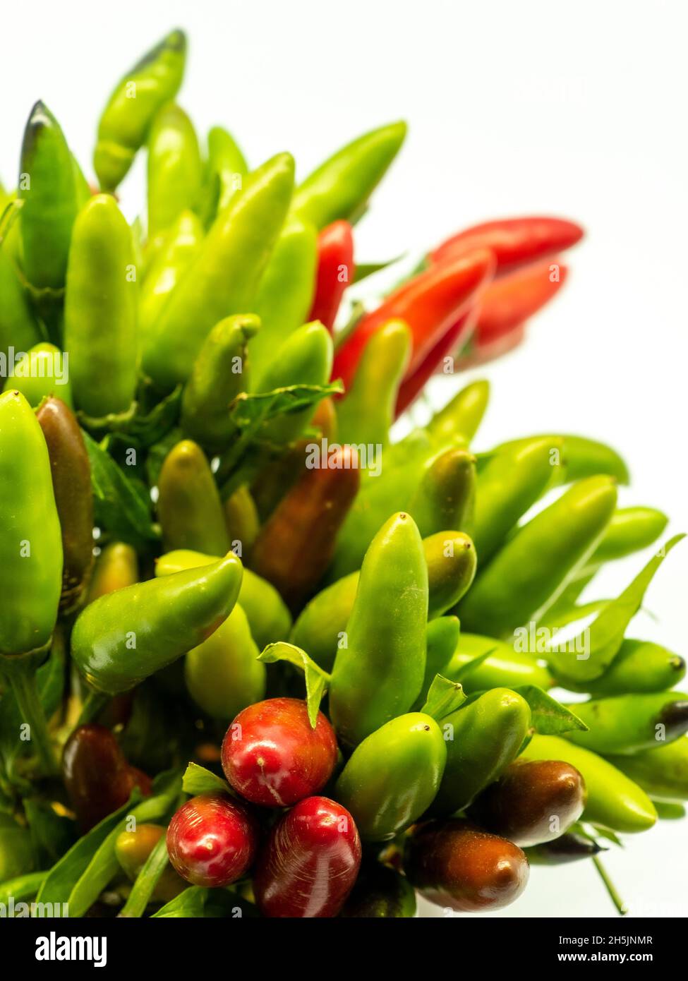 Vertical shot of a colorful peppers bouquet Stock Photo - Alamy