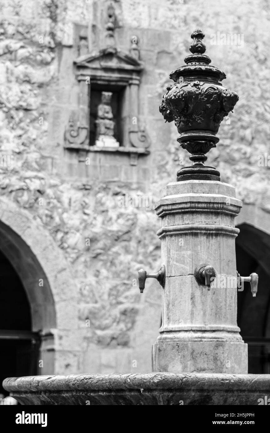 Vertical grayscale shot of a water fountain with blurred Saint Maria in ...
