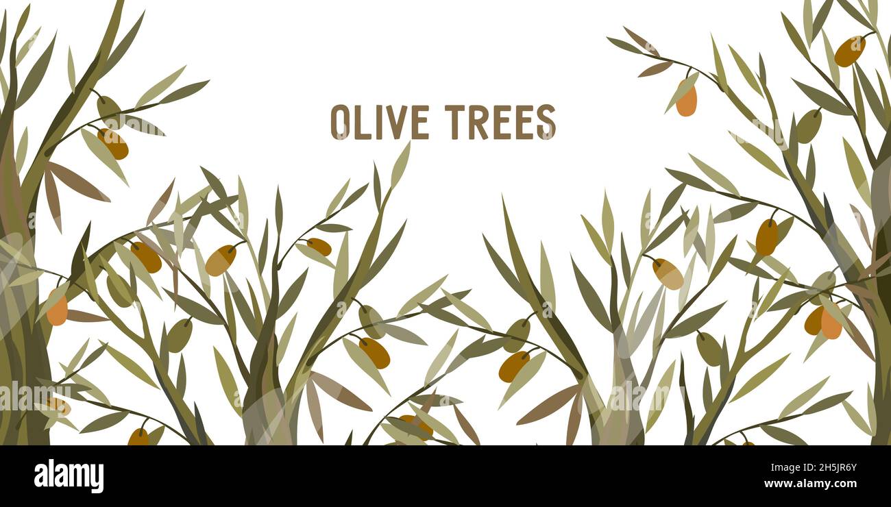 Background with olive trees flat vector illustration. Decorative ...