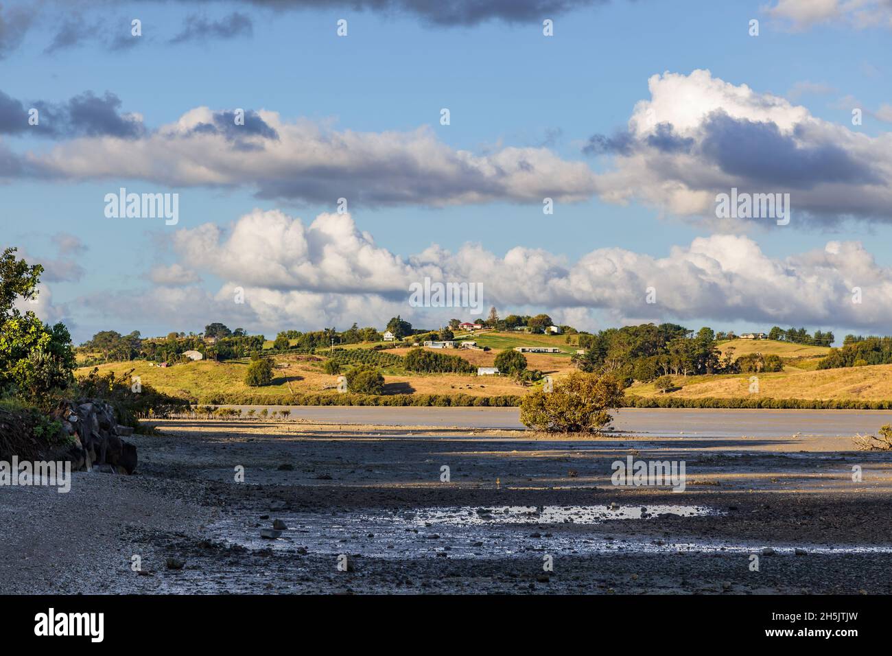 Tidal river landscape in the North Island of New Zealand Stock Photo ...