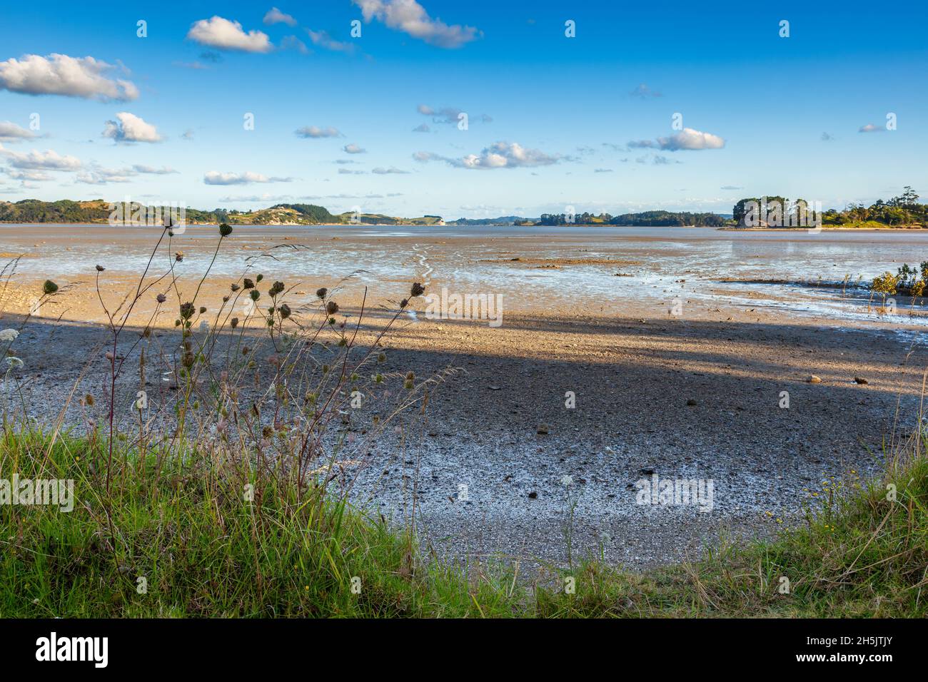 Tidal river landscape in the North Island of New Zealand Stock Photo ...