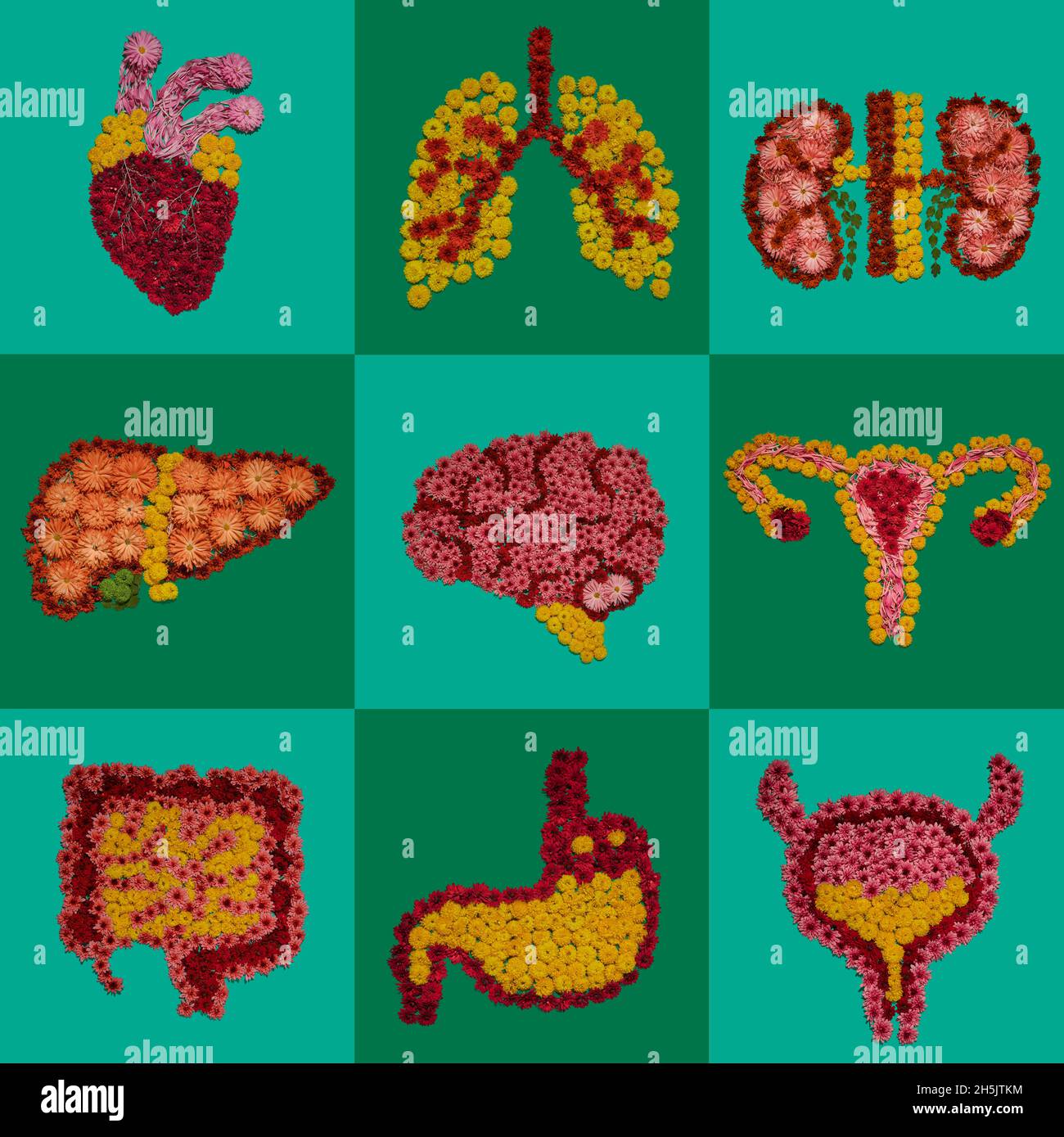 Internal organs illustrations set made of natural flowers. Human ...