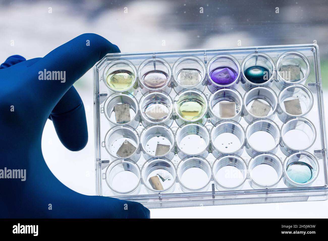 Laboratory technician holding a multi-channel microplate towards light ...