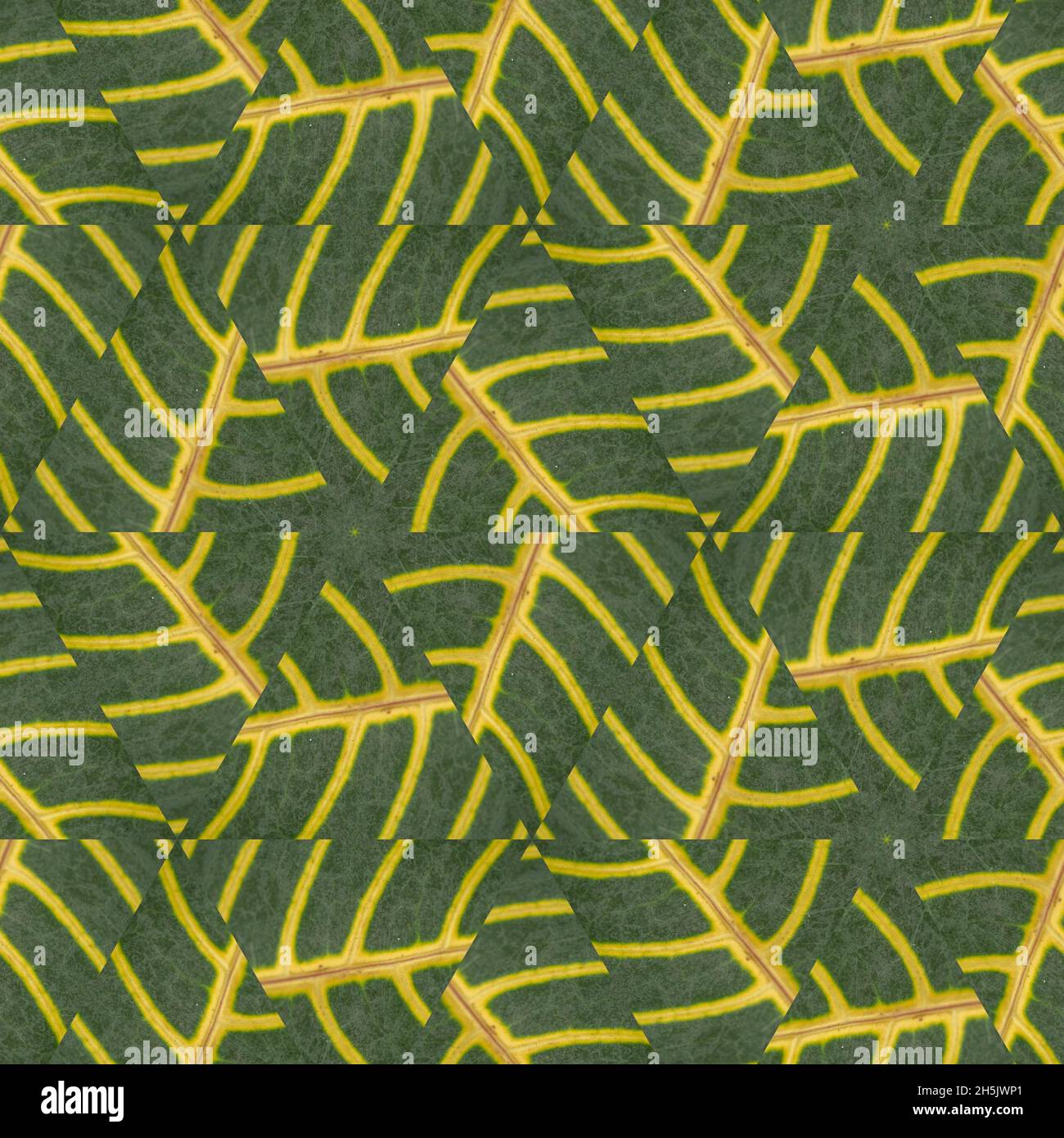 Abstract Computer generated Fractal design. A fractal is a never-ending ...